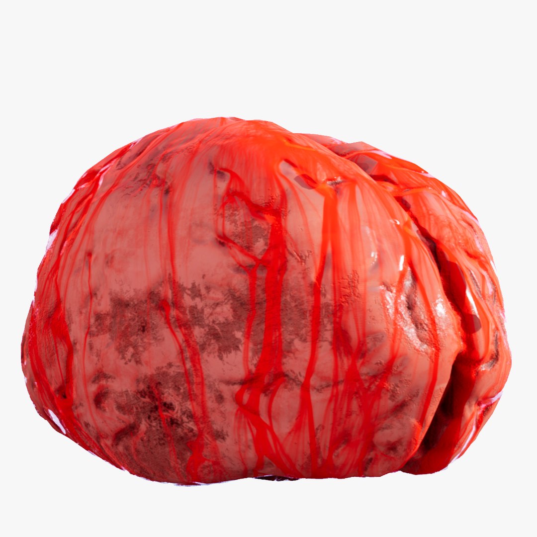 Bloody Brain 3D Model - TurboSquid 1899749