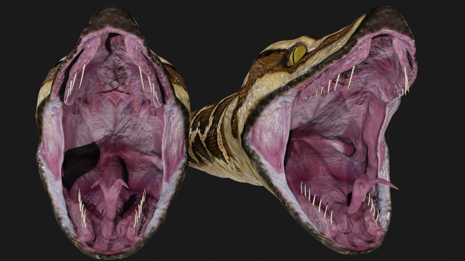 Python Rigged Model - TurboSquid 1668507