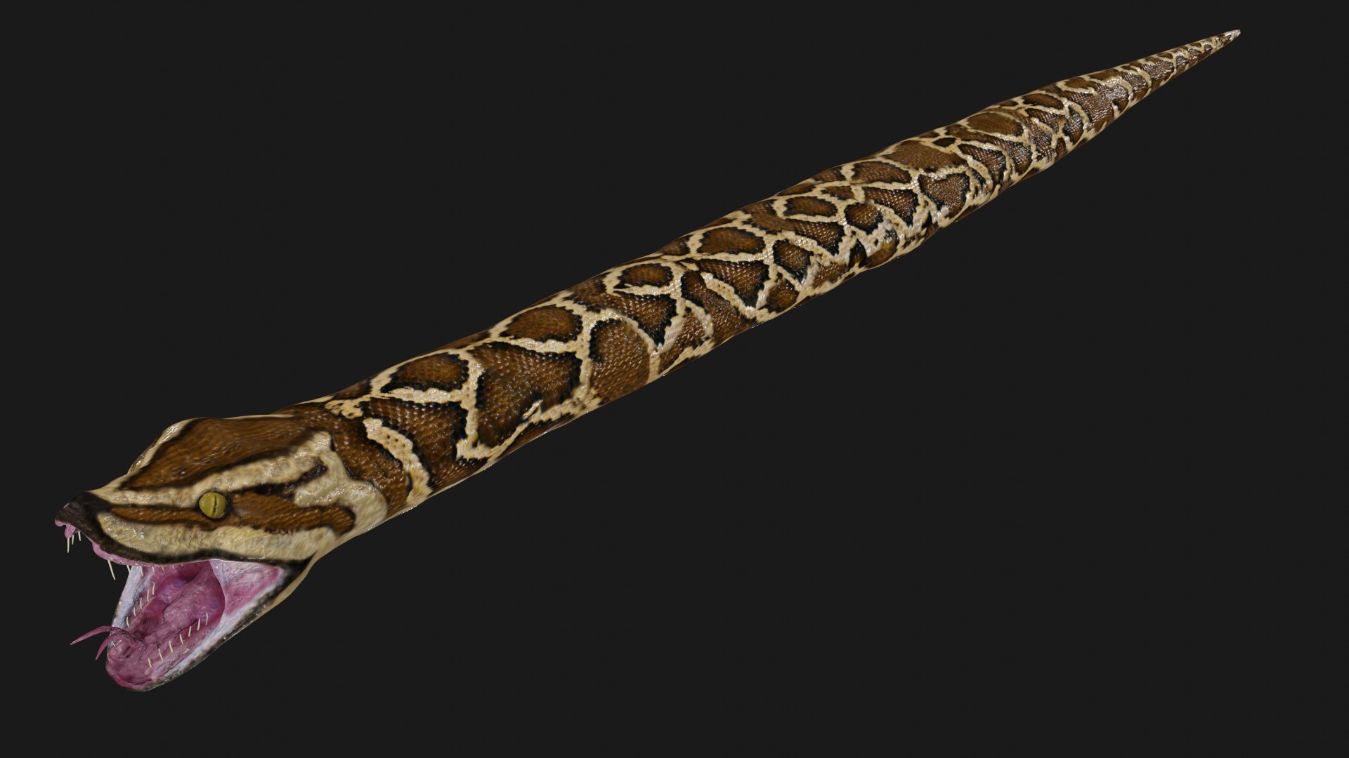 Python Rigged Model - TurboSquid 1668507