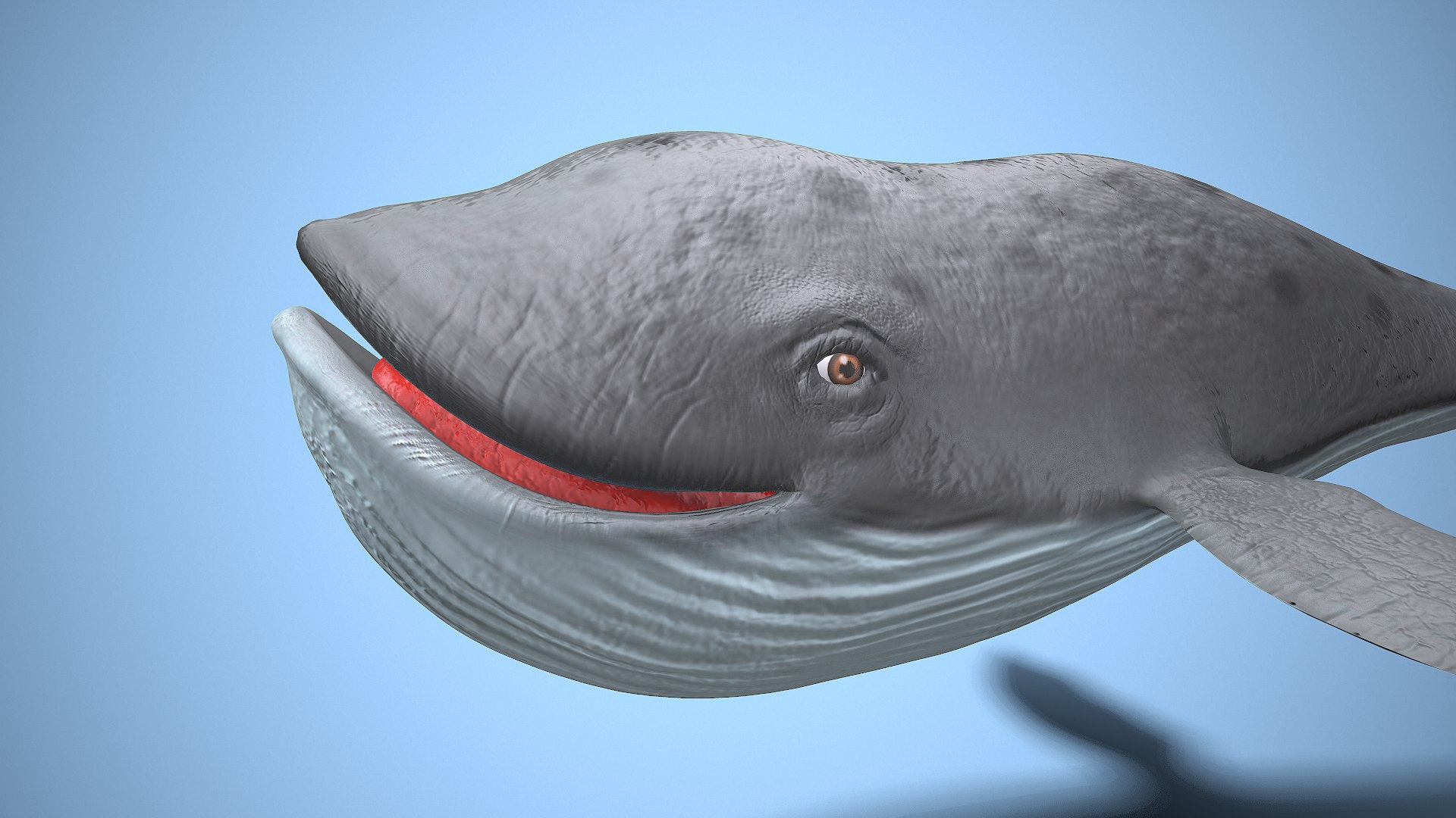 3D Swim Animation - TurboSquid 1511330