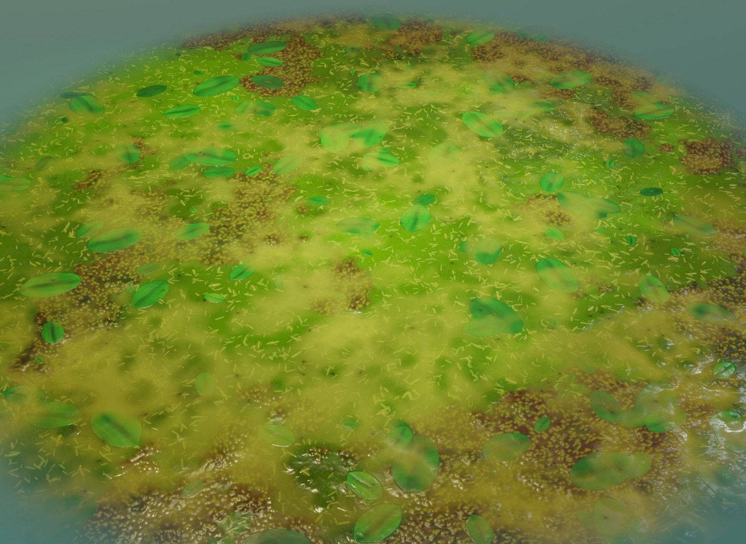 Cartoon Swamp 3D model - TurboSquid 1737134