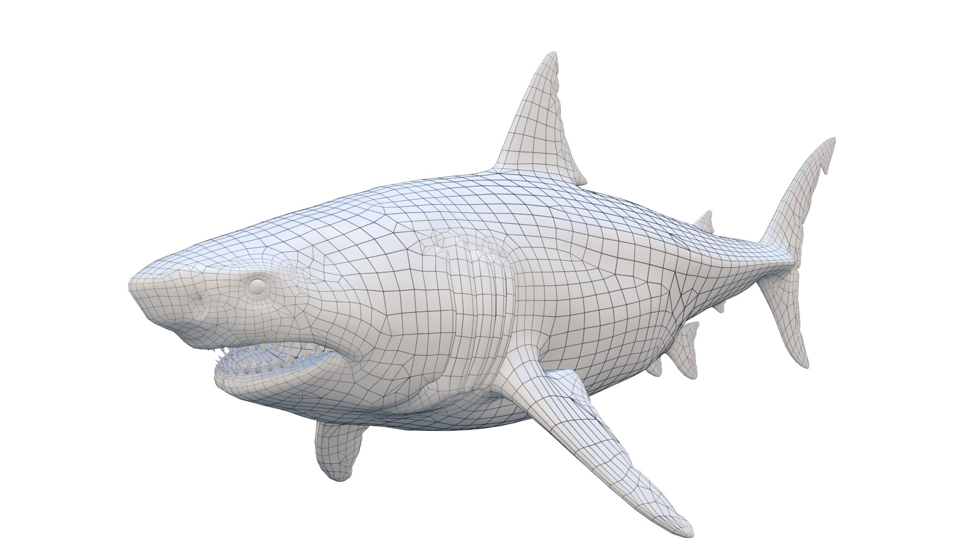 Eobalaenoptera Harrisoni Animal 3D Model 3D Model - TurboSquid 2313610