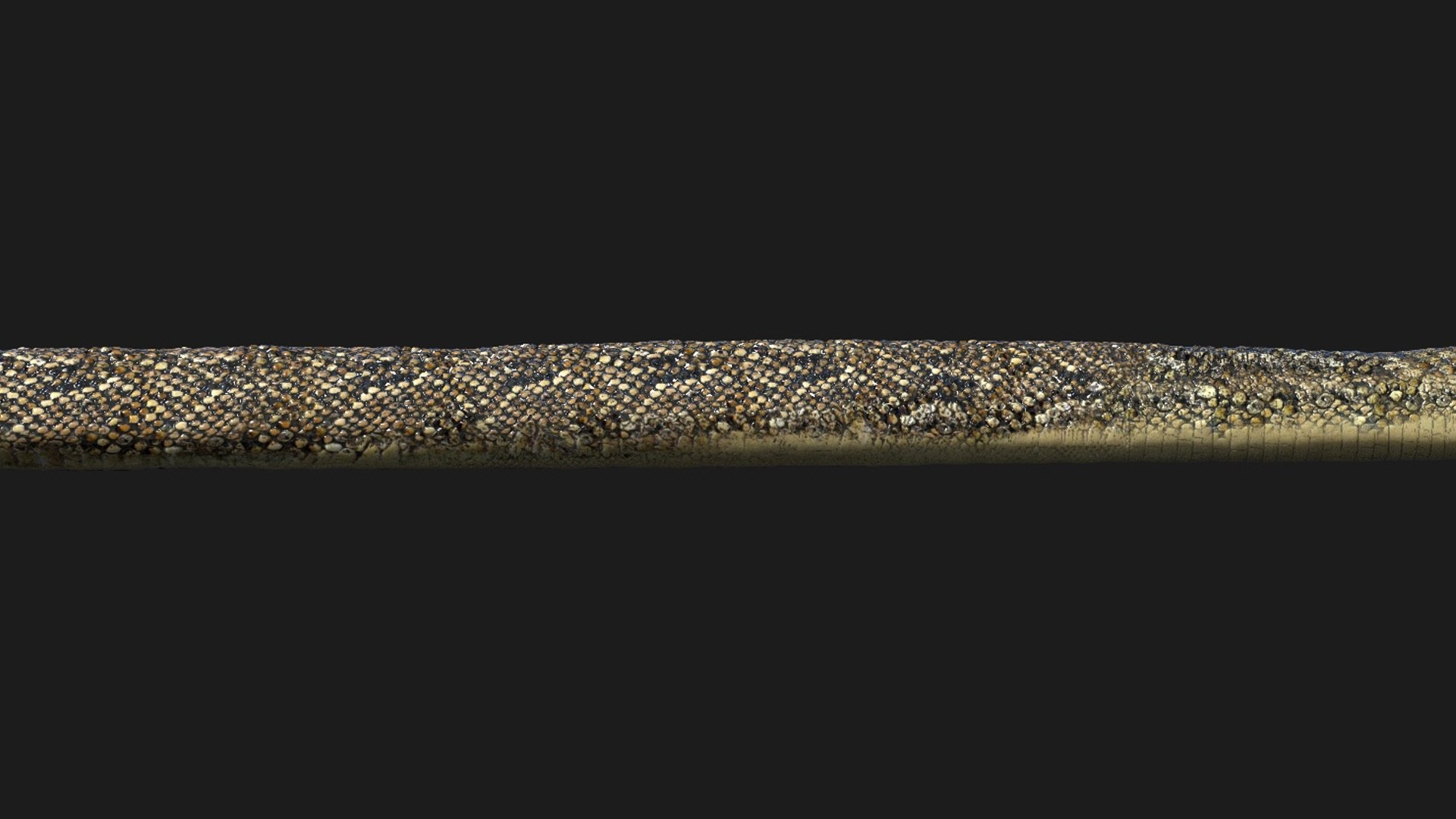 3D Snake Rig - TurboSquid 1273422