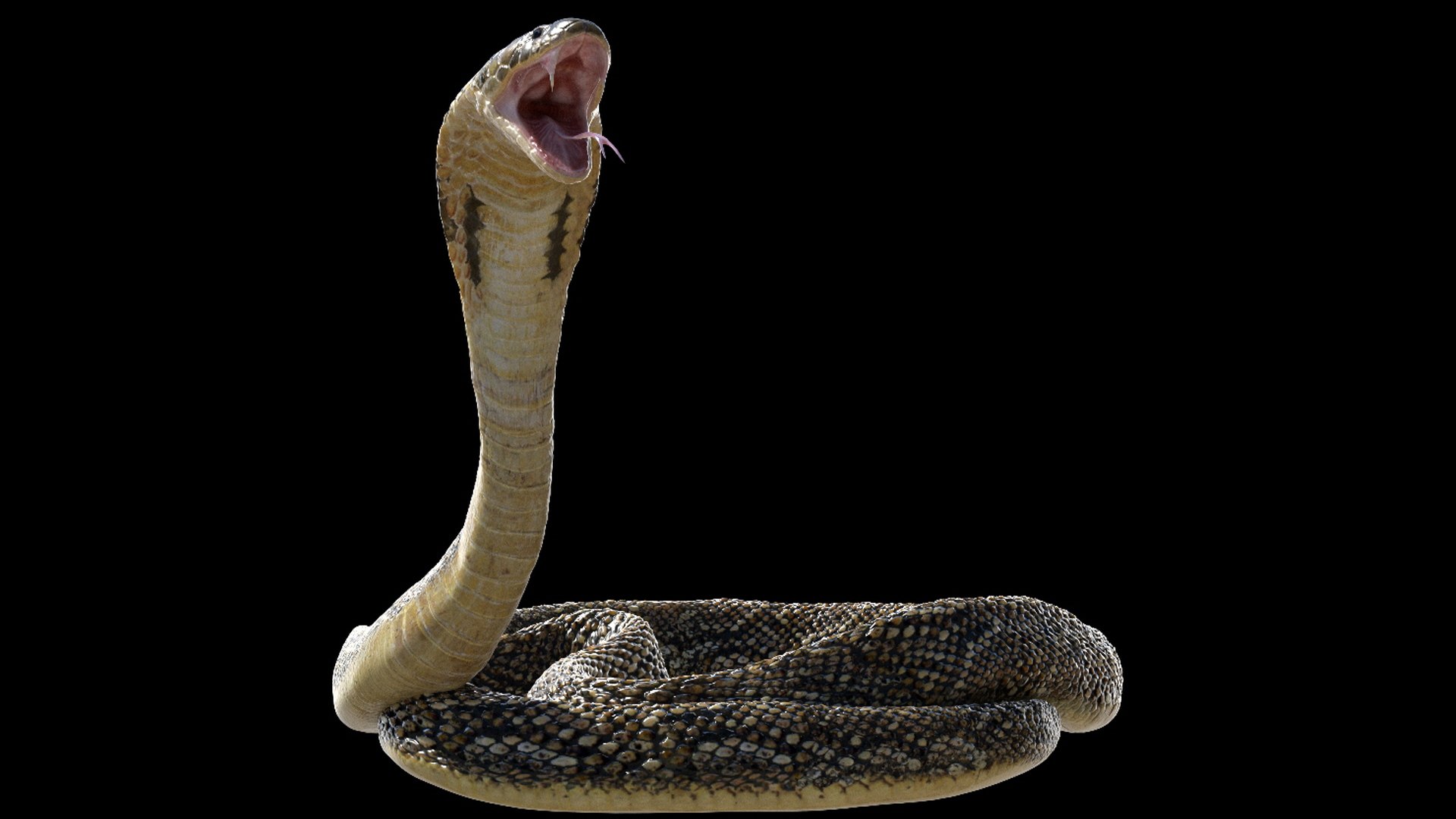 3D Snake Rig - TurboSquid 1273422