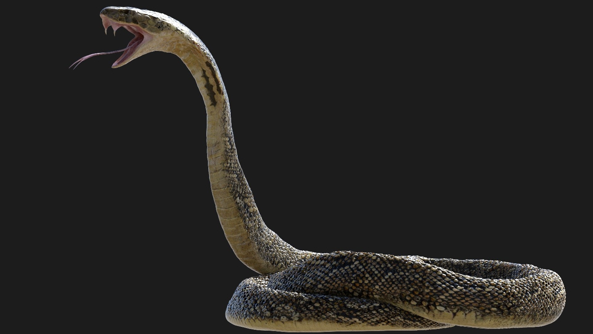 3D Snake Rig - TurboSquid 1273422