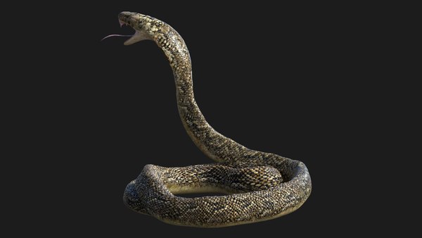 3D snake rig - TurboSquid 1273422