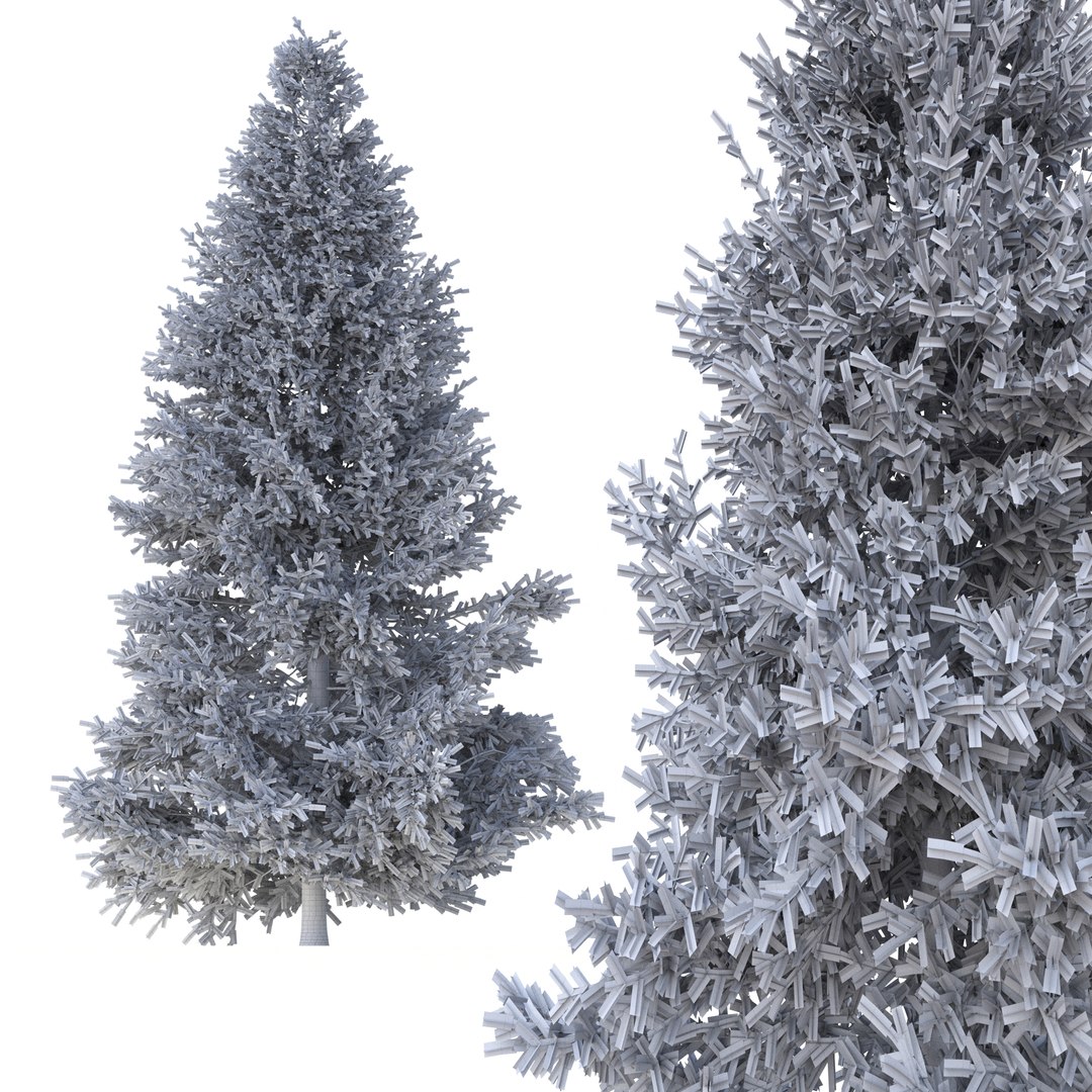 Picea Tree 3D Model - TurboSquid 2037739
