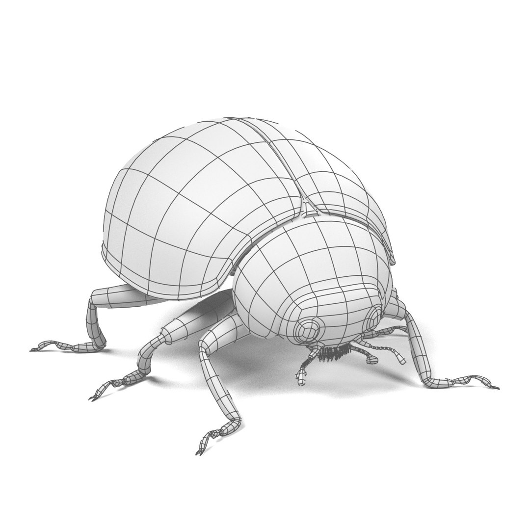 common insect 3d 3ds