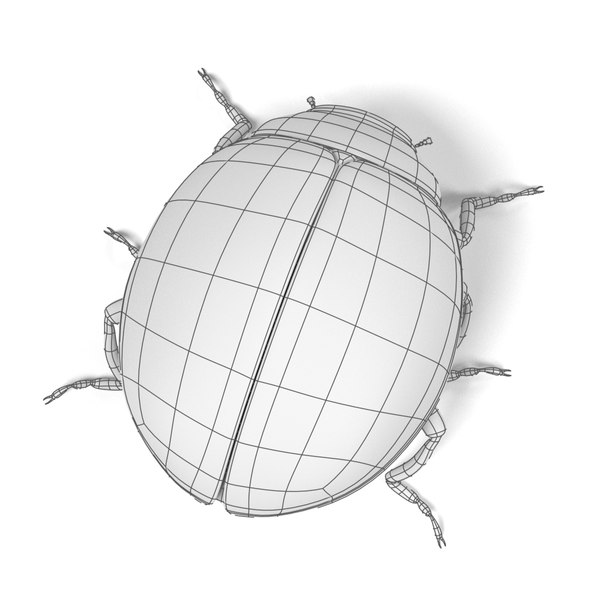 common insect 3d 3ds