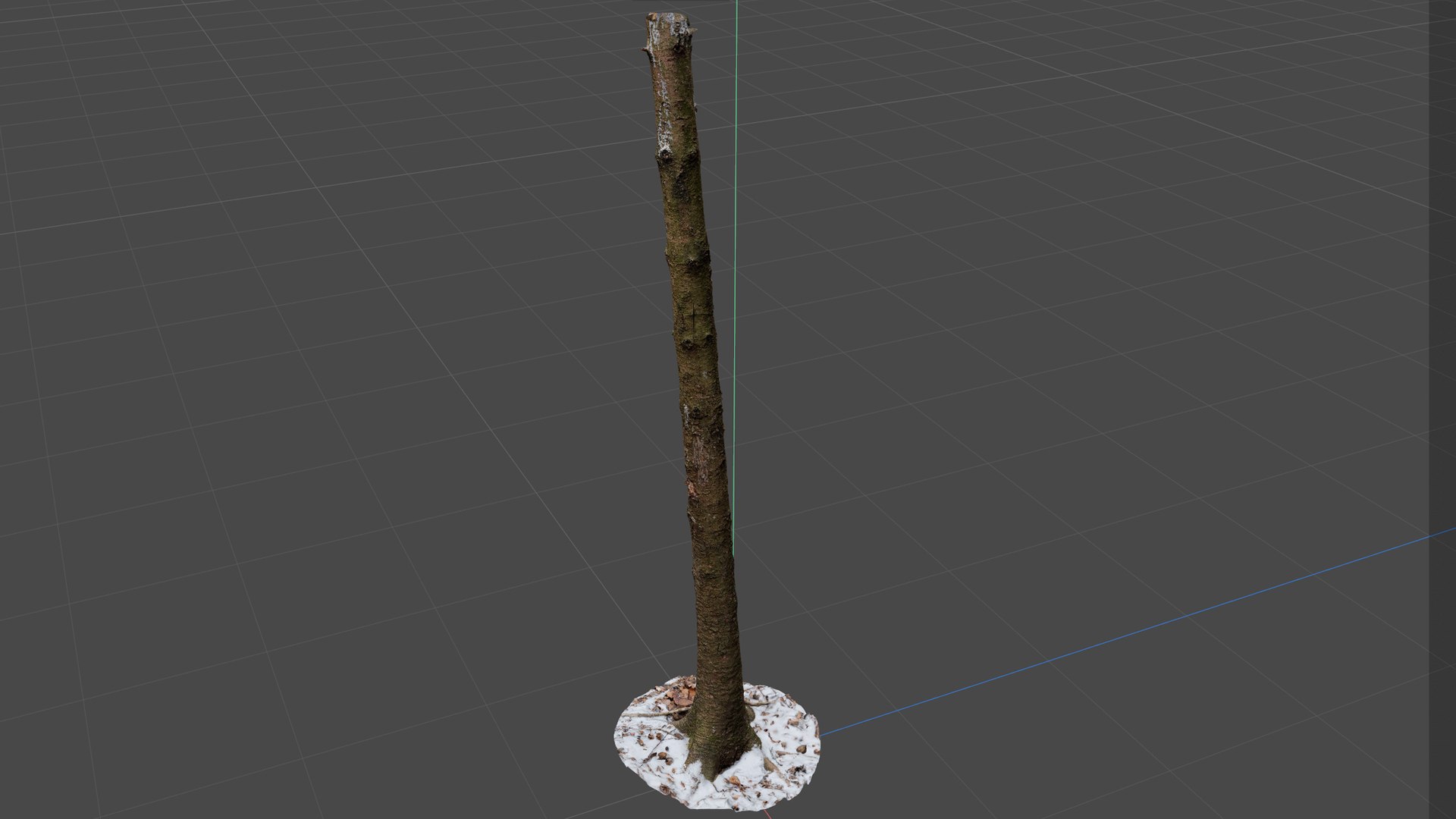 Swiss Winter Tree 007 3D Model - TurboSquid 2178019