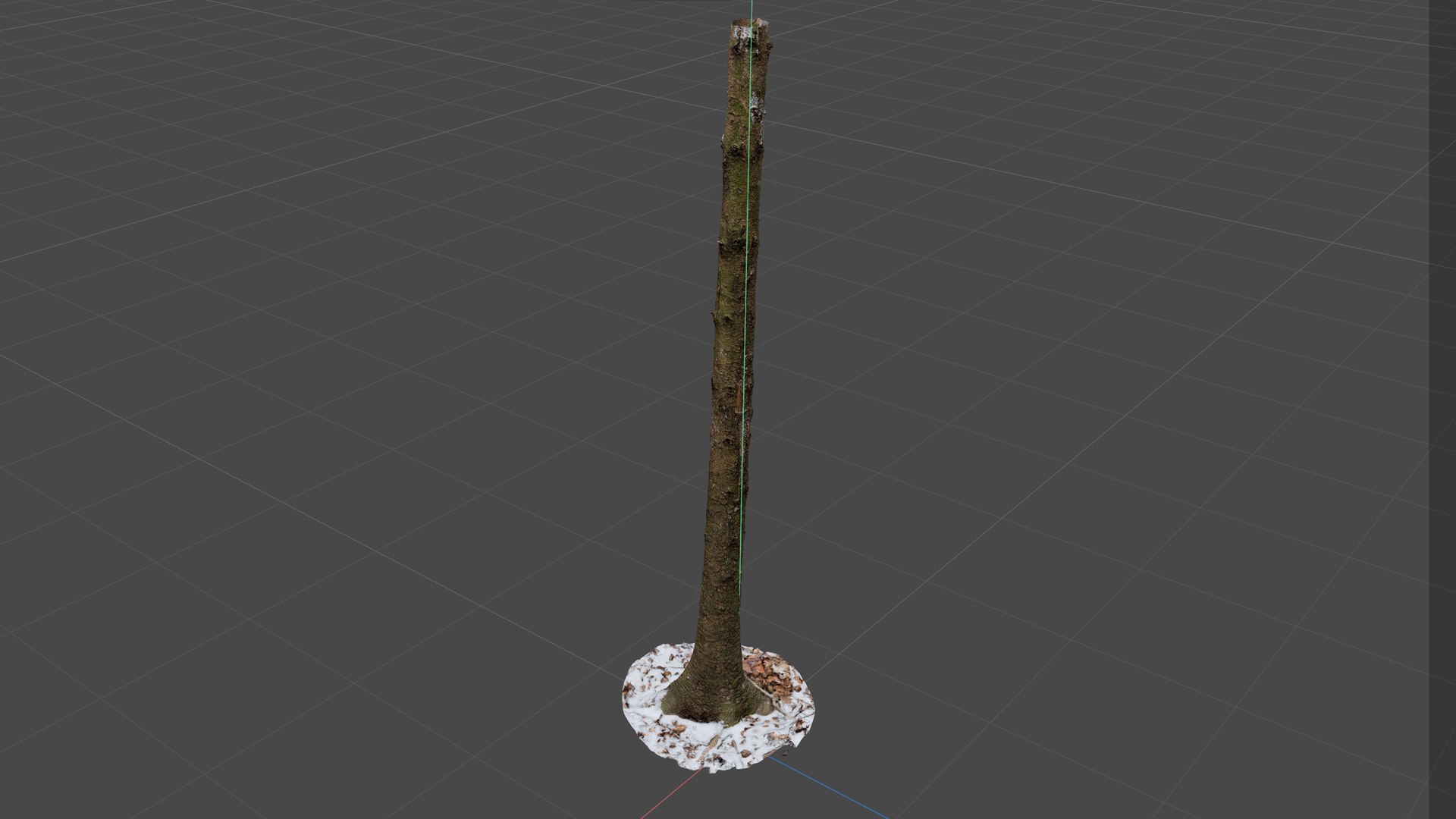 Swiss Winter Tree 007 3D Model - TurboSquid 2178019