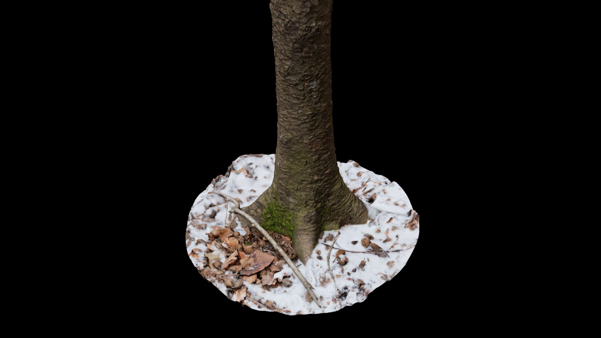 Swiss Winter Tree 007 3D Model - TurboSquid 2178019