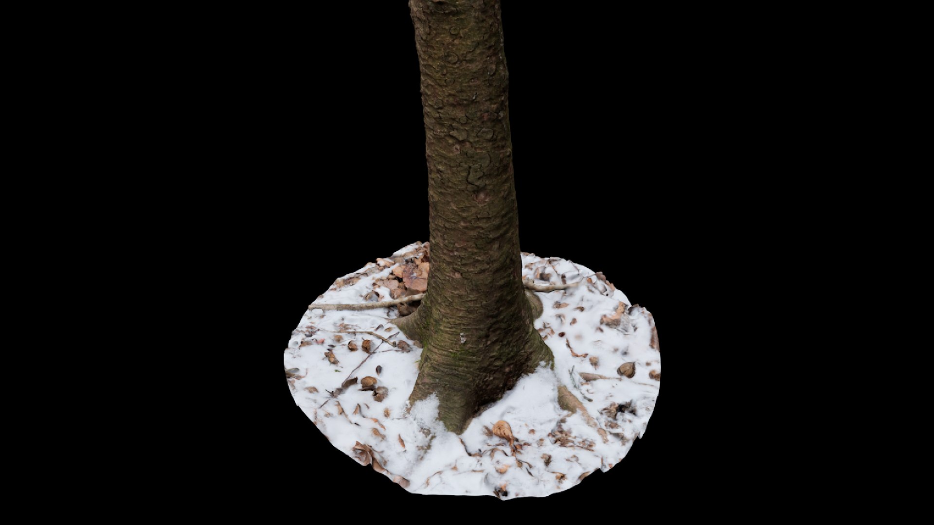 Swiss Winter Tree 007 3D Model - TurboSquid 2178019