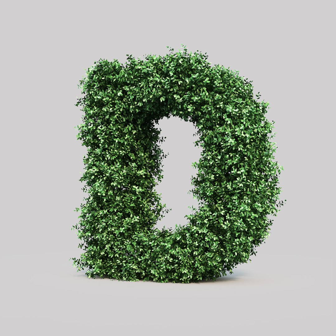 alphabet d buxus max