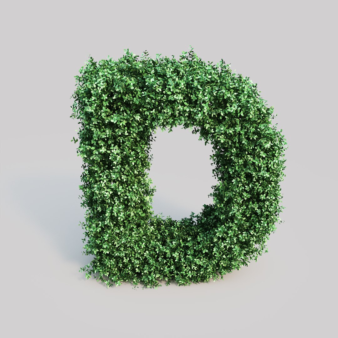 alphabet d buxus max