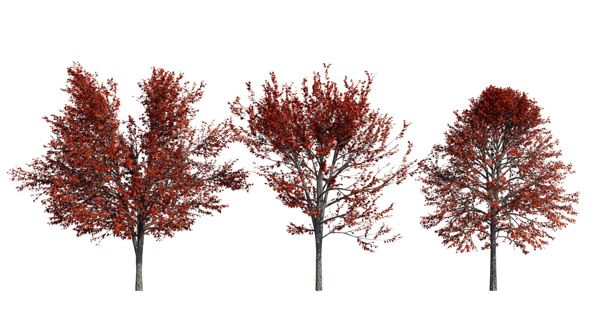 3D Maple Tree Set 02 - TurboSquid 2381057
