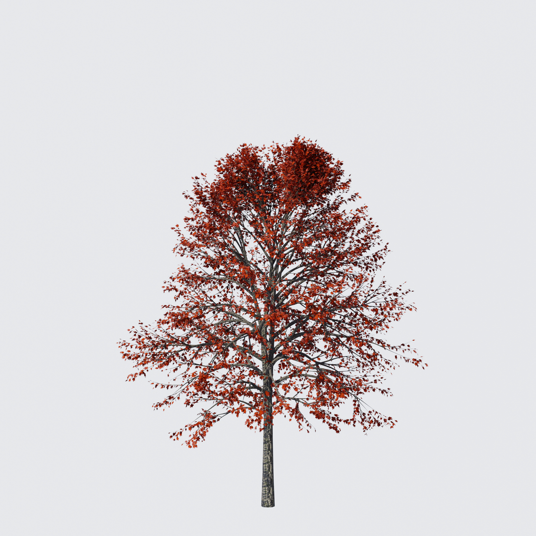 3D Maple Tree Set 02 - TurboSquid 2381057