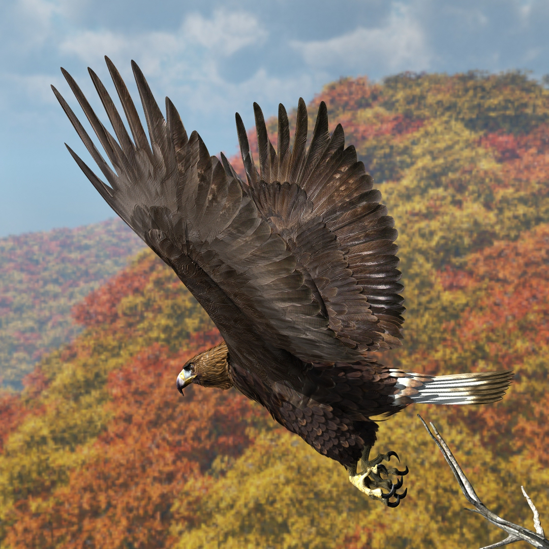 3d model golden eagle