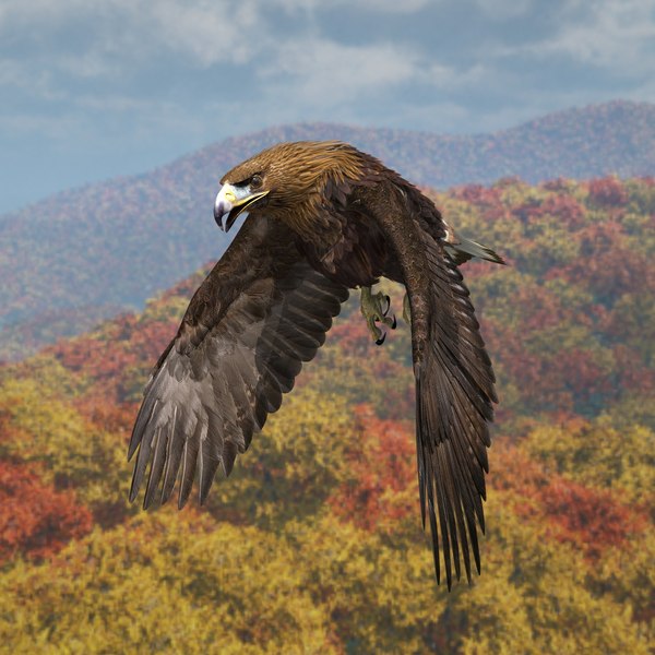 3d model golden eagle