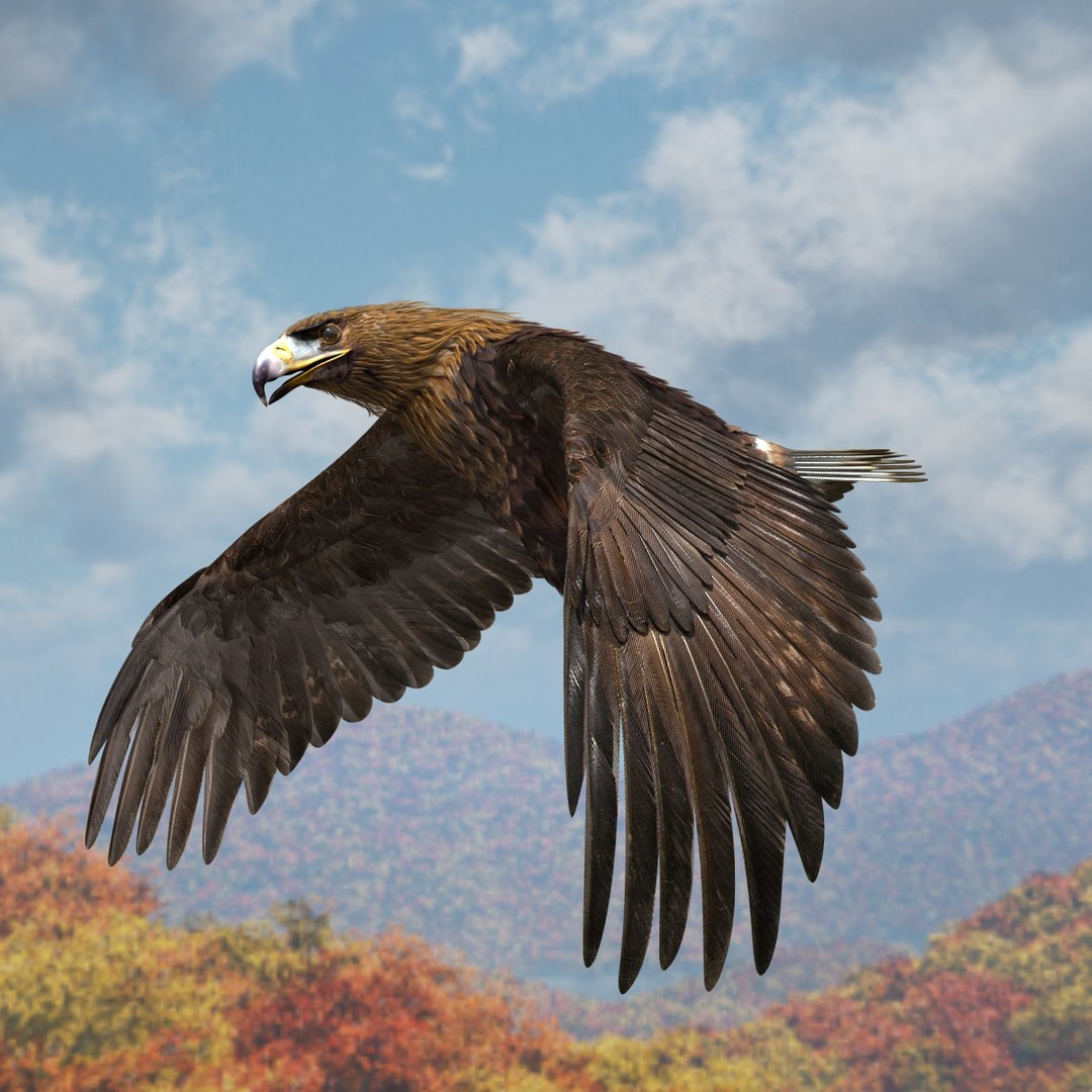 3d model golden eagle