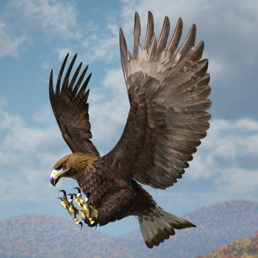 3d model golden eagle