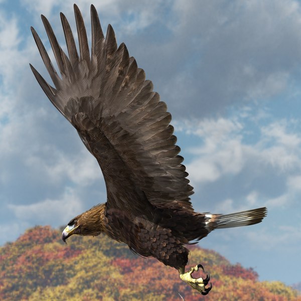 3d model golden eagle