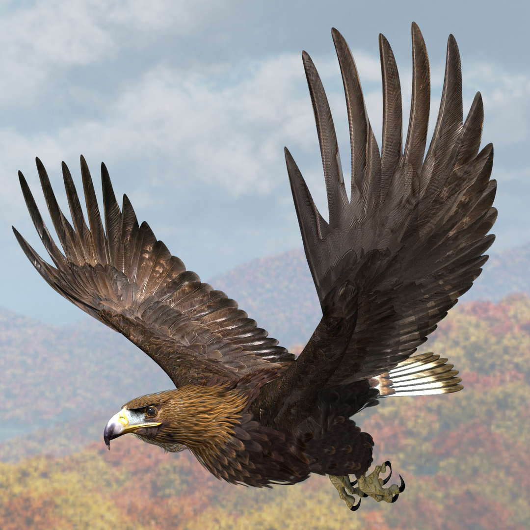 3d model golden eagle