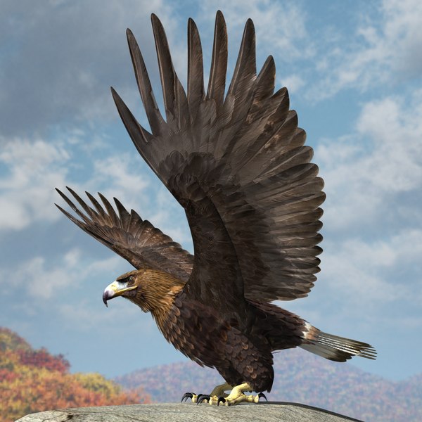 3d model golden eagle
