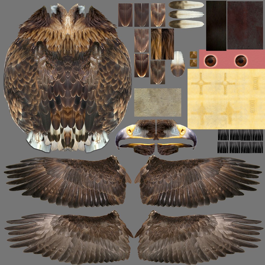 3d model golden eagle