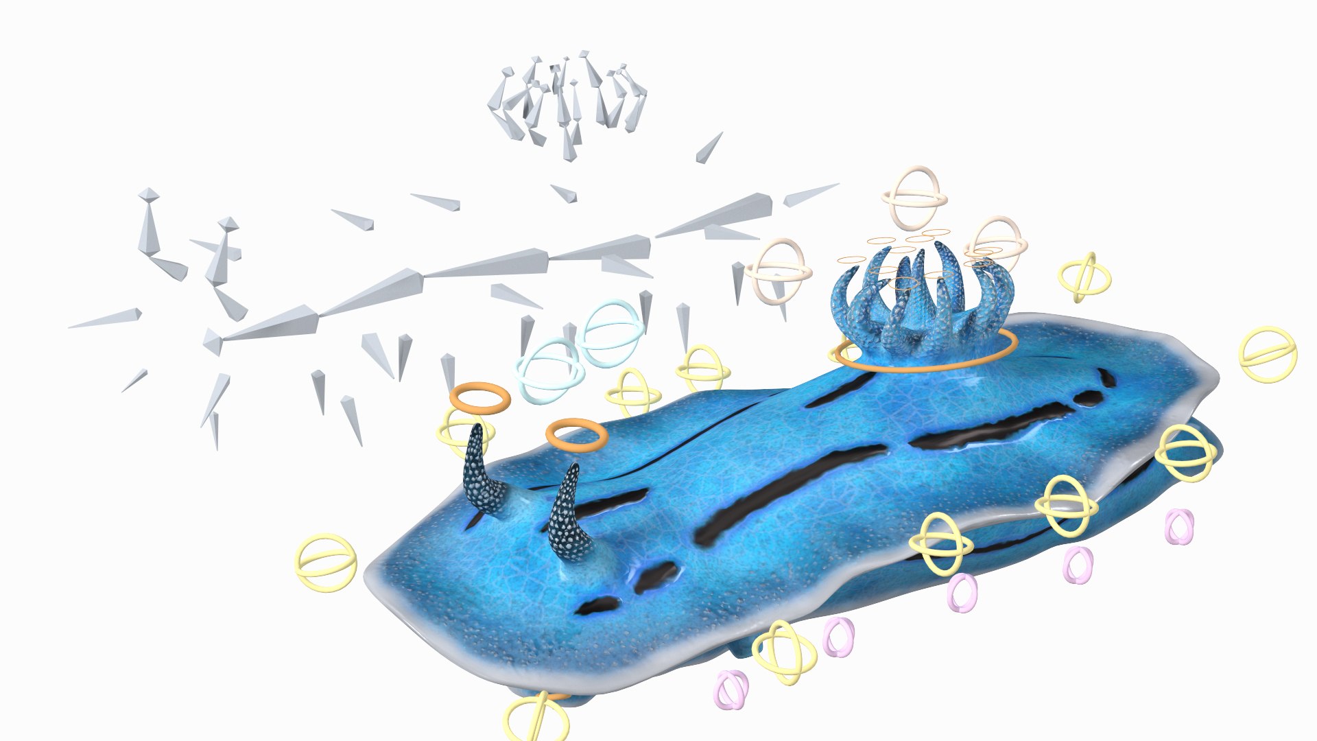 3D Blue Sea Slug Rigged Model - TurboSquid 2191656