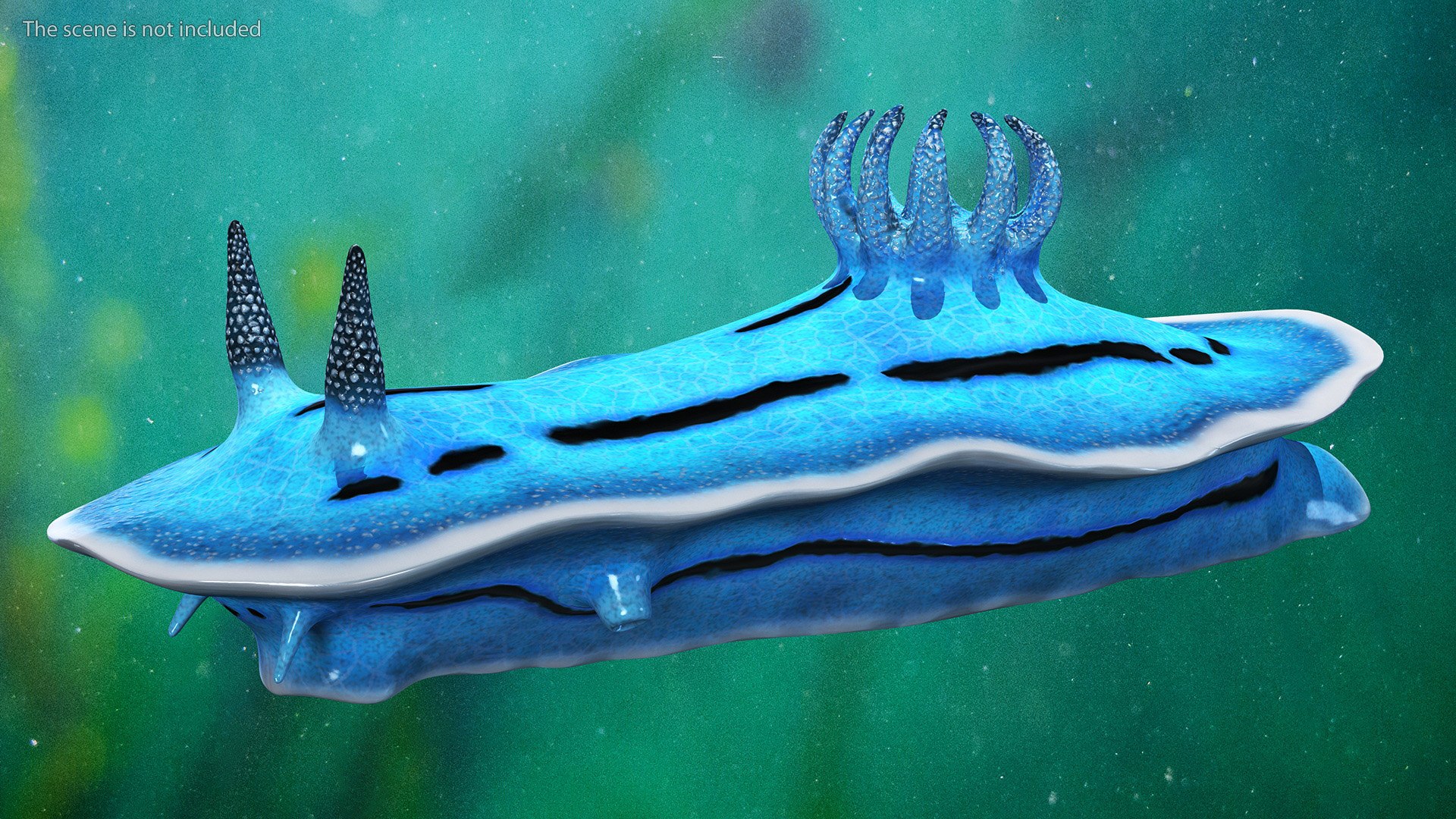 3D Blue Sea Slug Rigged Model - TurboSquid 2191656