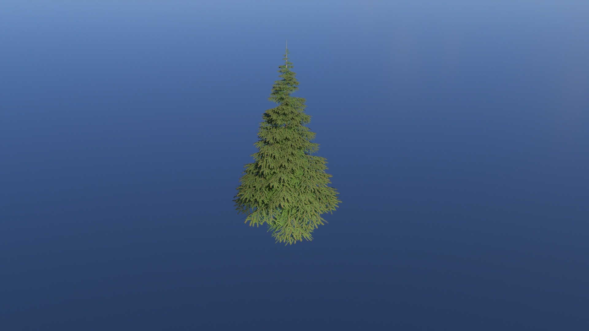3D Spruce Tree V3 Model - TurboSquid 2317862