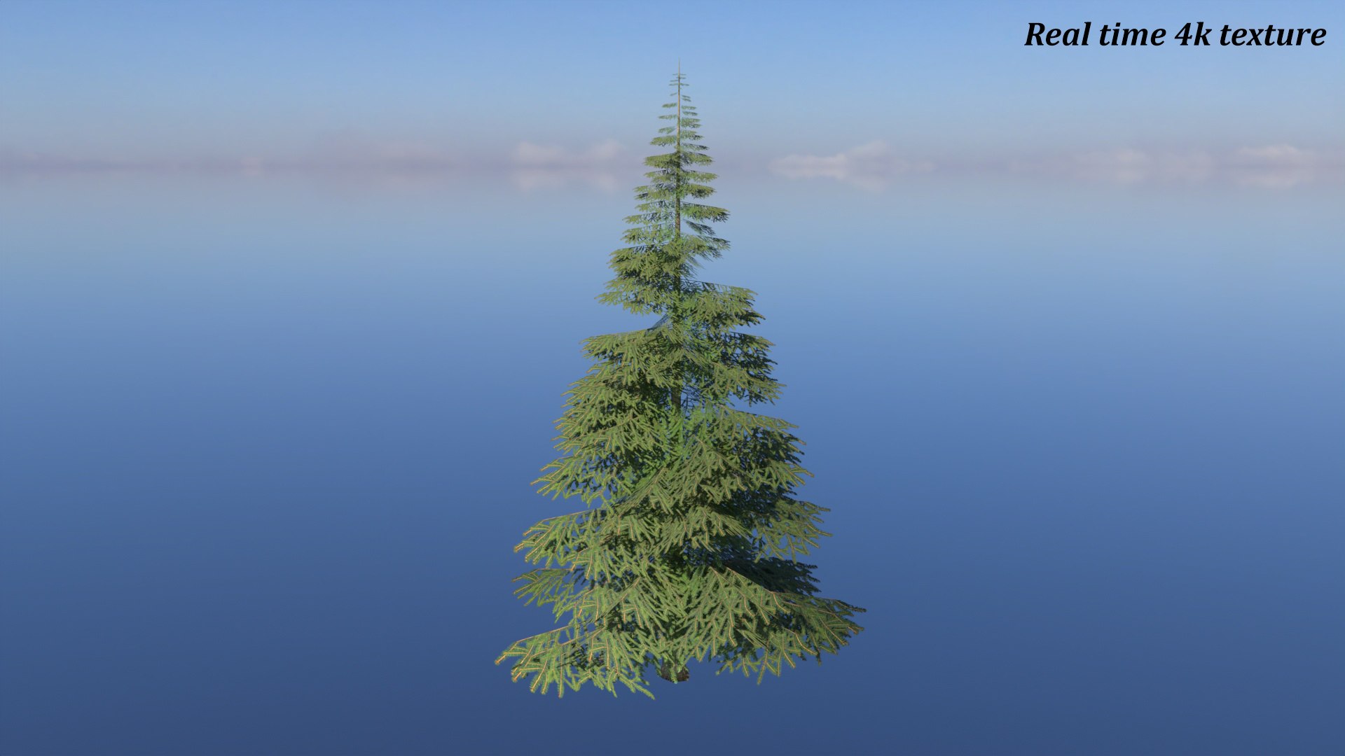 3D Spruce Tree V3 Model - TurboSquid 2317862