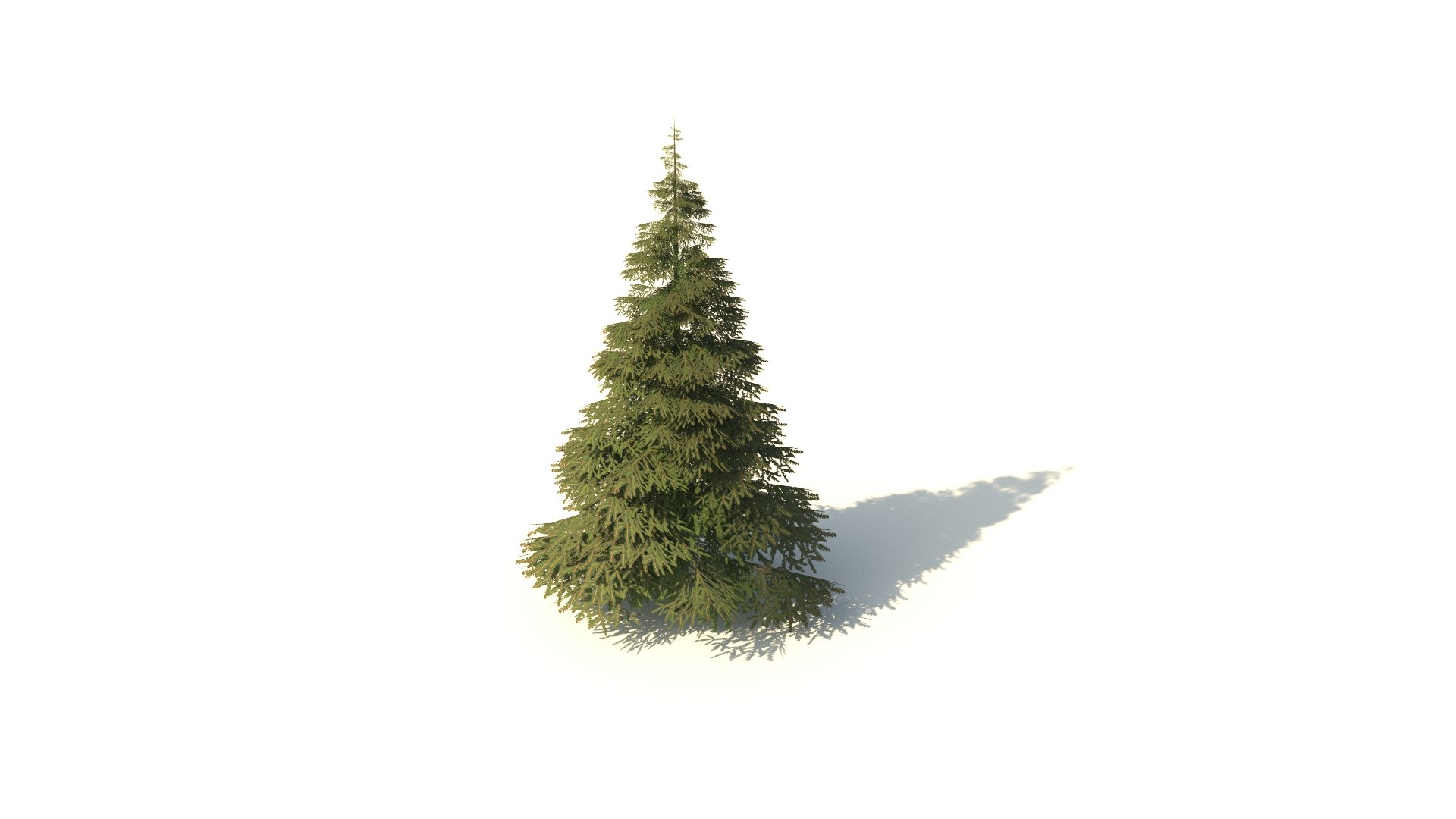 3D Spruce Tree V3 Model - TurboSquid 2317862