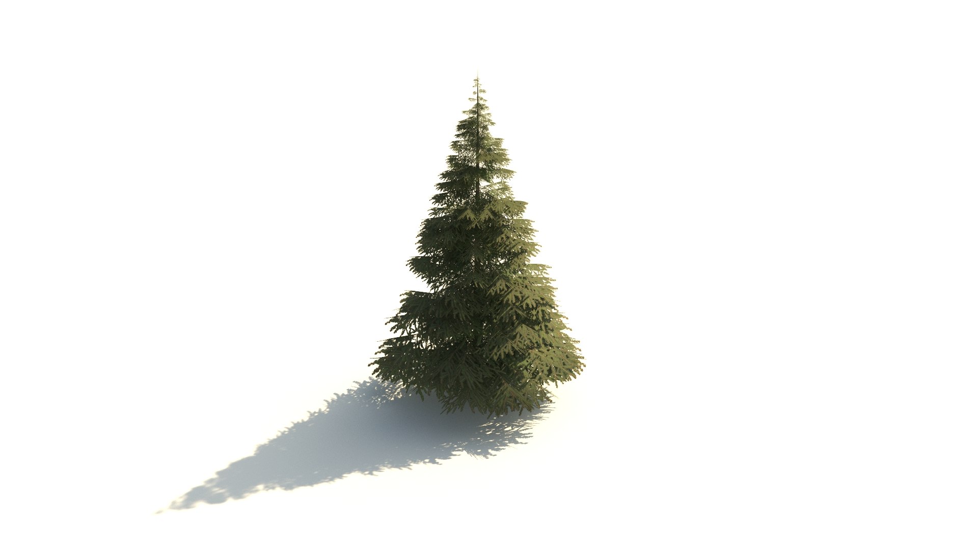 3D Spruce Tree V3 Model - TurboSquid 2317862