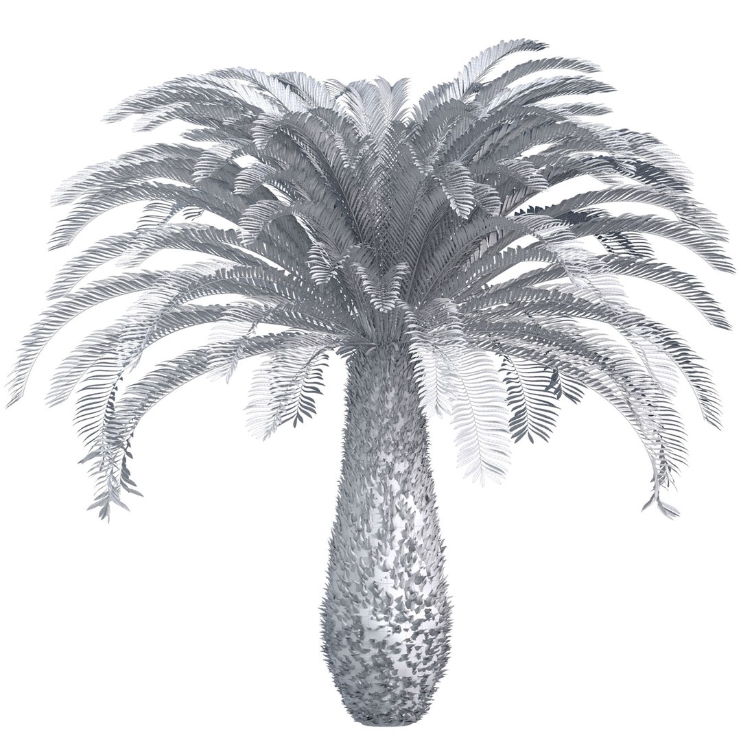 3D Ornamental Evergreen Palm Tree Exotic Tropical - TurboSquid 2275897