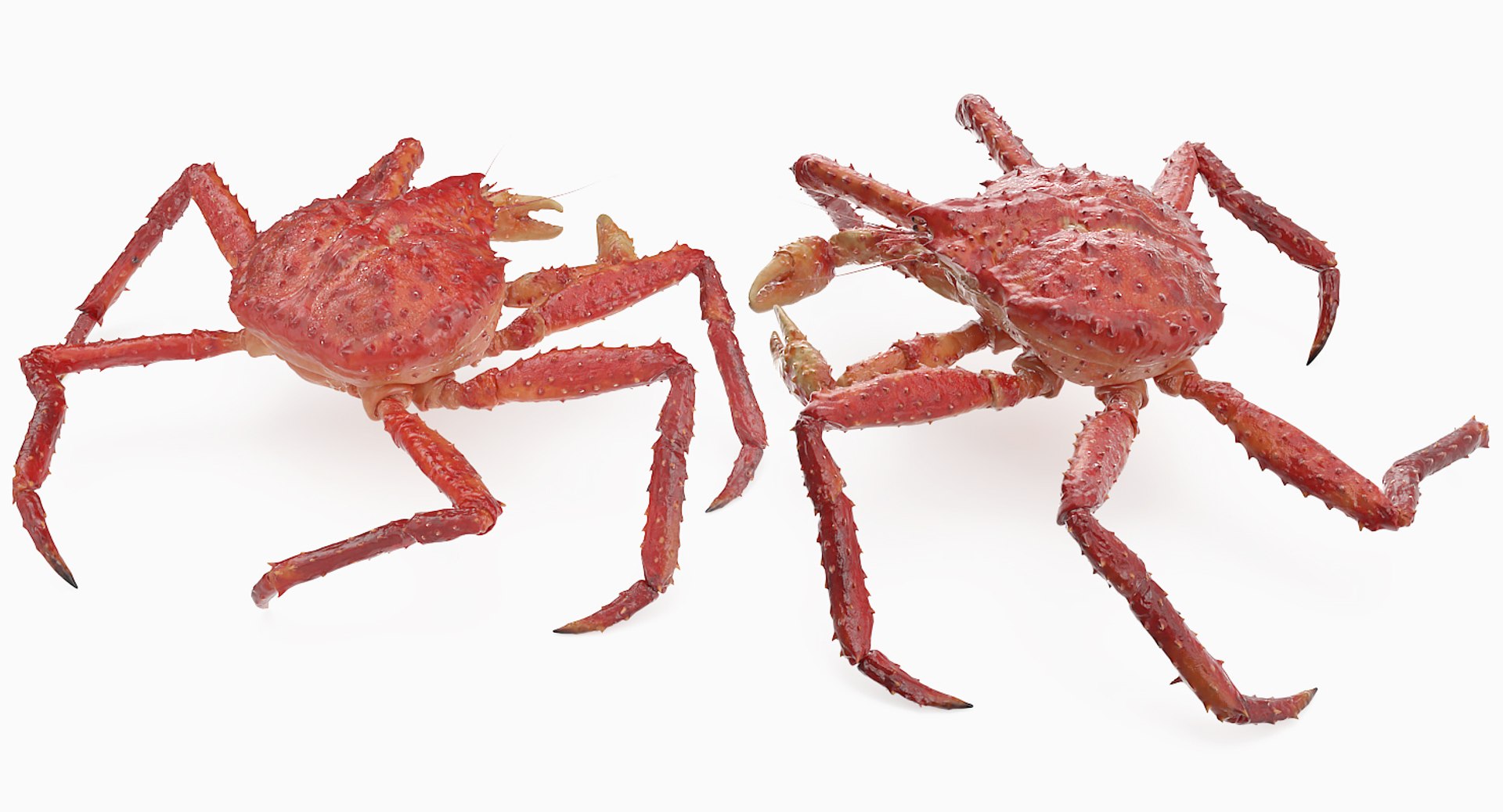 3D Red King Crab Rigged - TurboSquid 1181535