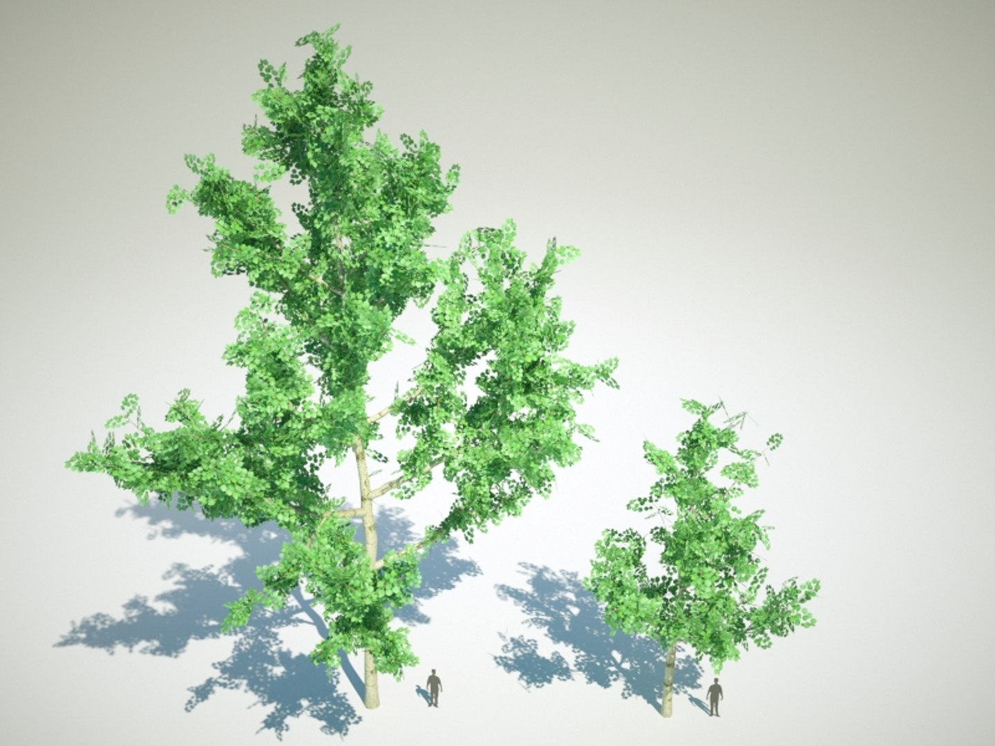 Trees Arch Gpu 3D - TurboSquid 1155860