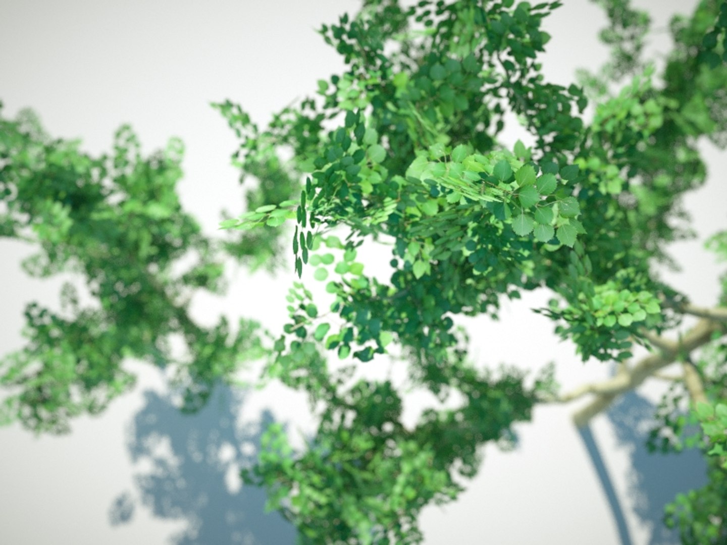 Trees Arch Gpu 3D - TurboSquid 1155860