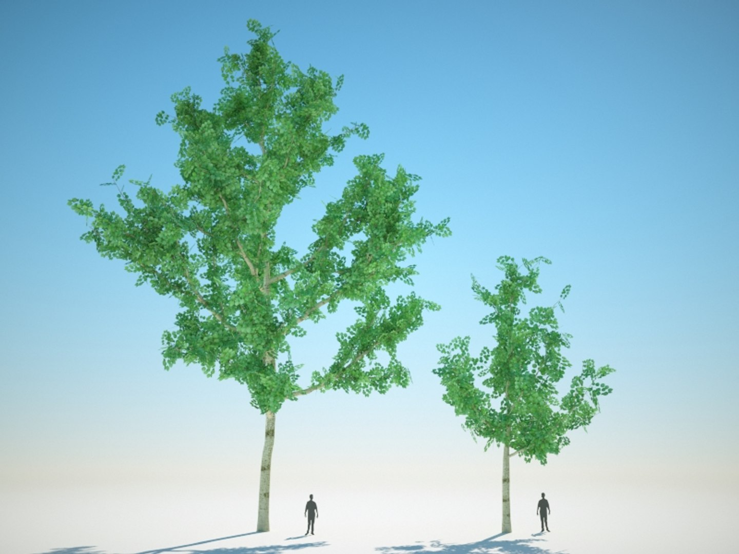 Trees Arch Gpu 3D - TurboSquid 1155860