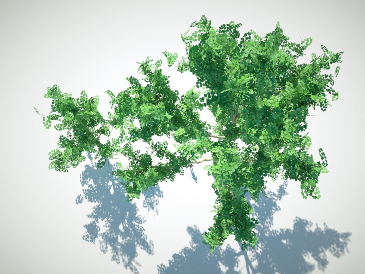 Trees Arch Gpu 3D - TurboSquid 1155860