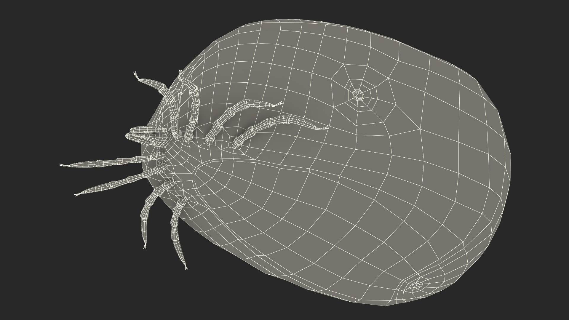 3D Model Swollen Tick Fur - TurboSquid 2335575