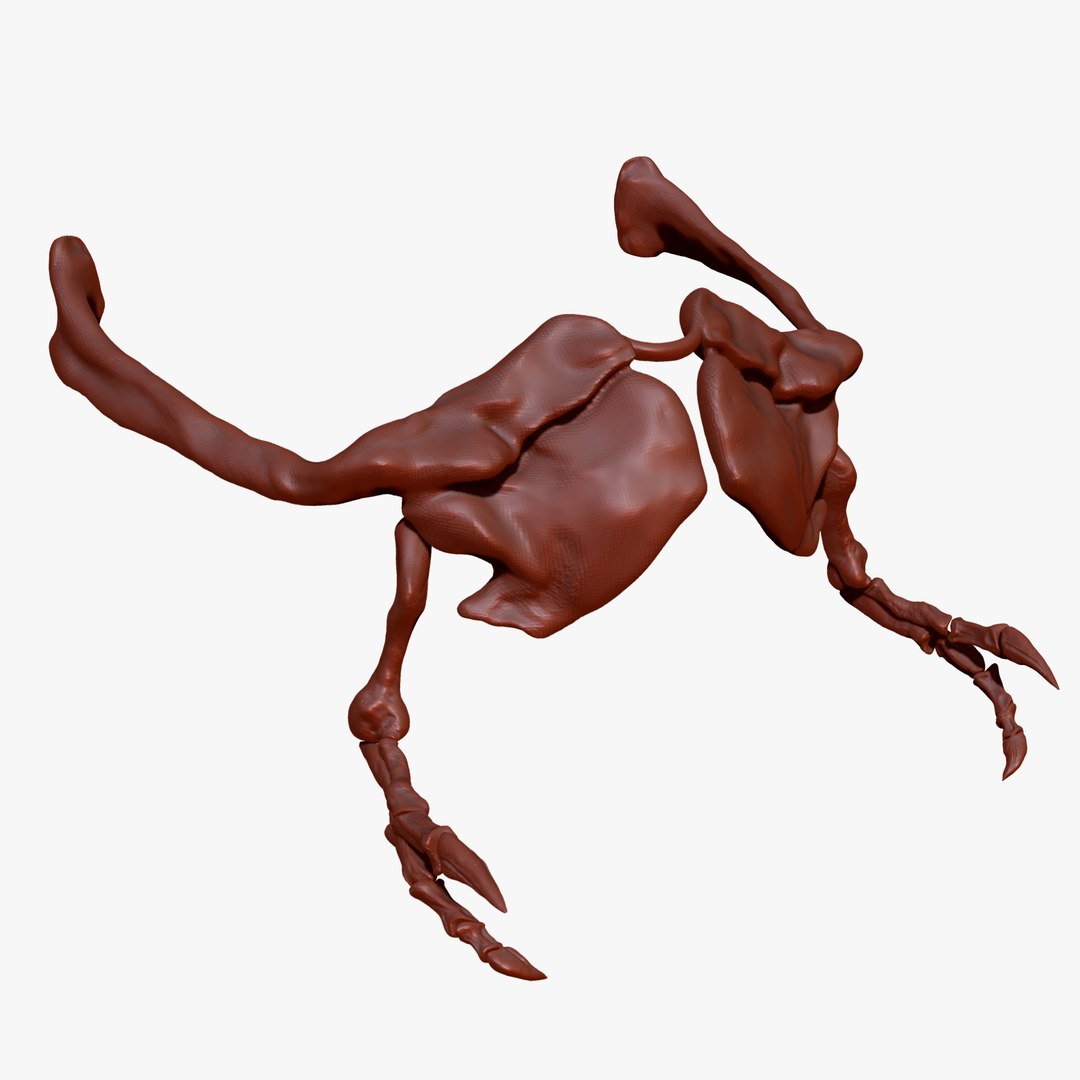 3D trex arm set model - TurboSquid 1707465