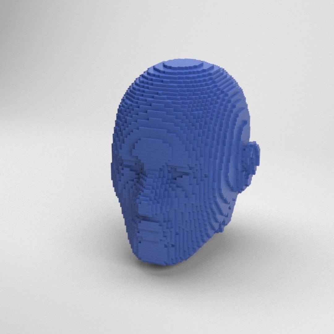 Voxel Head 3D - TurboSquid 1288877