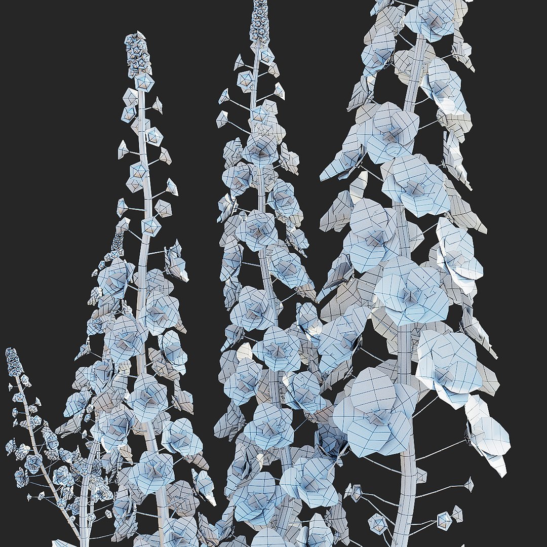 Verbascum Phoeniceum Rosetta 3D Model - TurboSquid 2221000