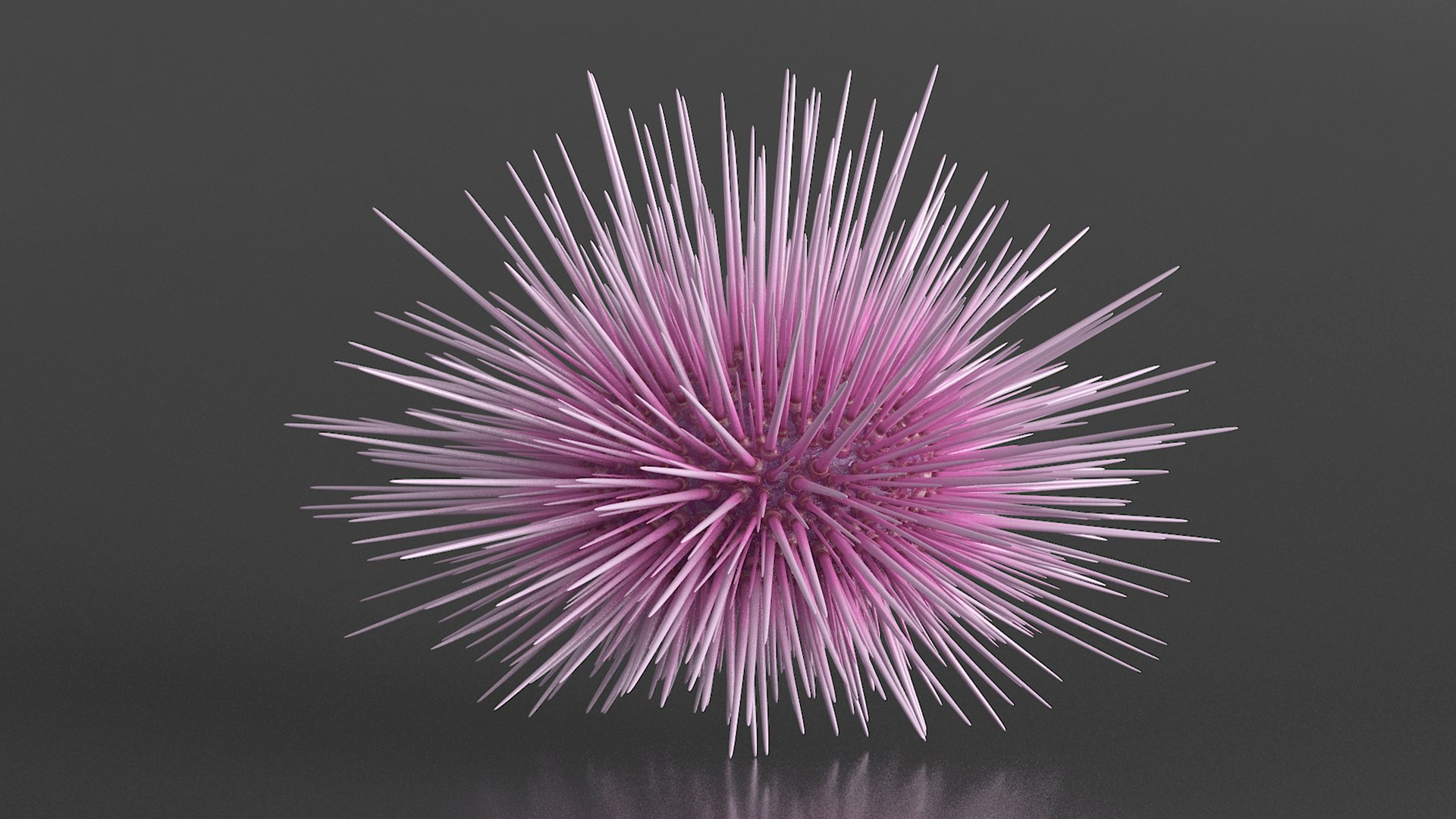 3D Purple Sea Urchin - TurboSquid 2241934