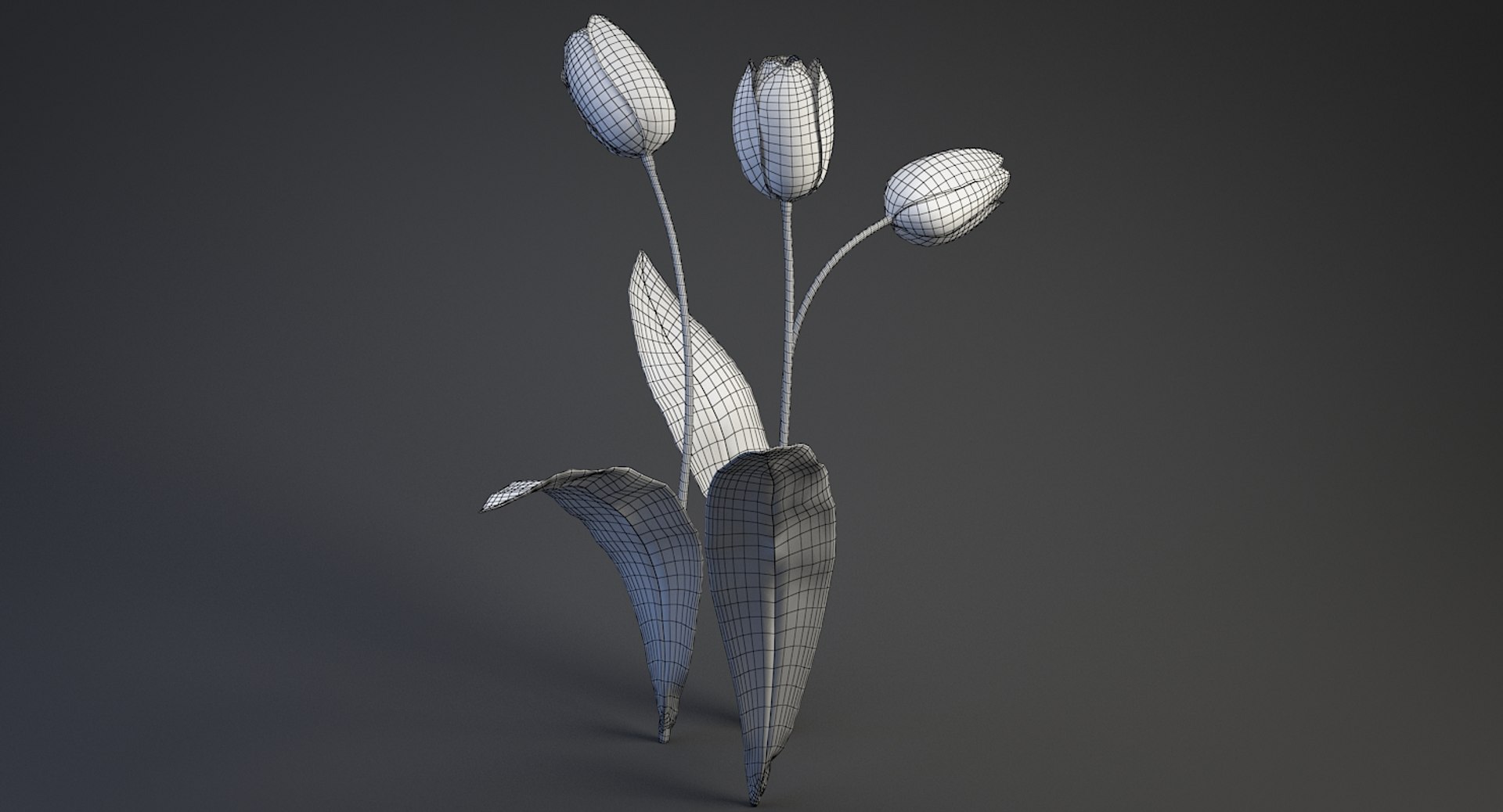Realistic Tulip Flower 3D - TurboSquid 1223269