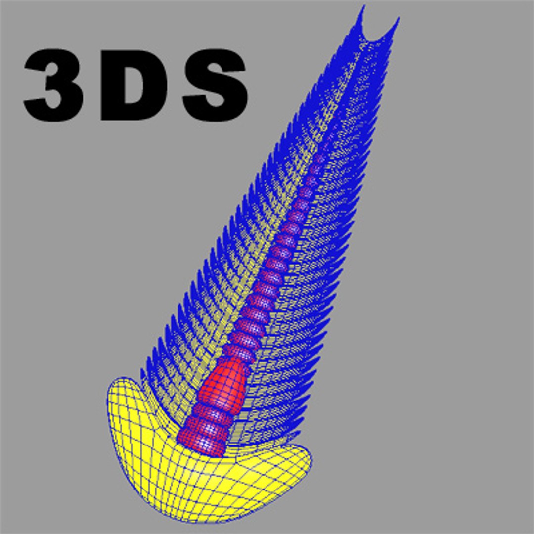 Spriggina Ediacaran Curve 3d Model