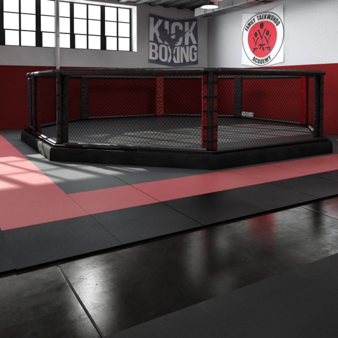 Mma Training Centre 3D Model - TurboSquid 1184224