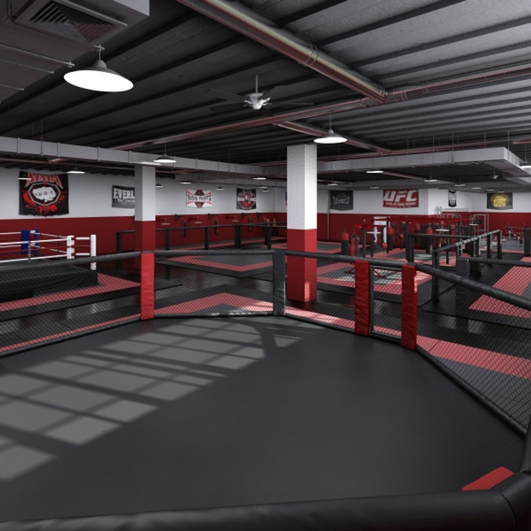 Mma Training Centre 3D Model - TurboSquid 1184224